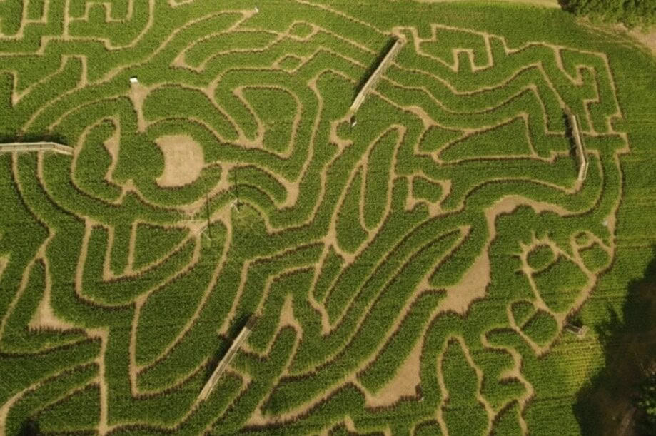 PHOTO: Father creates Dory maze for "Finding Nemo"-loving daughter ...
