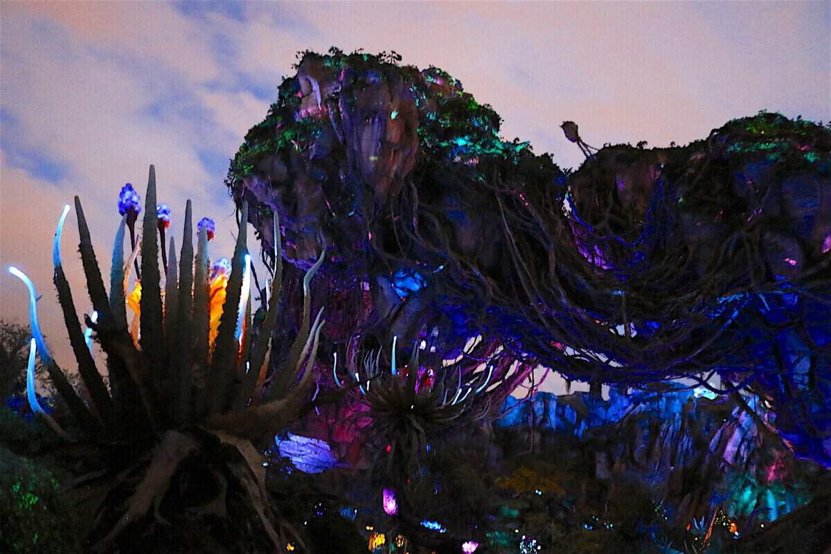 Nighttime in 'Pandora - The World of Avatar' glows brilliantly with ...