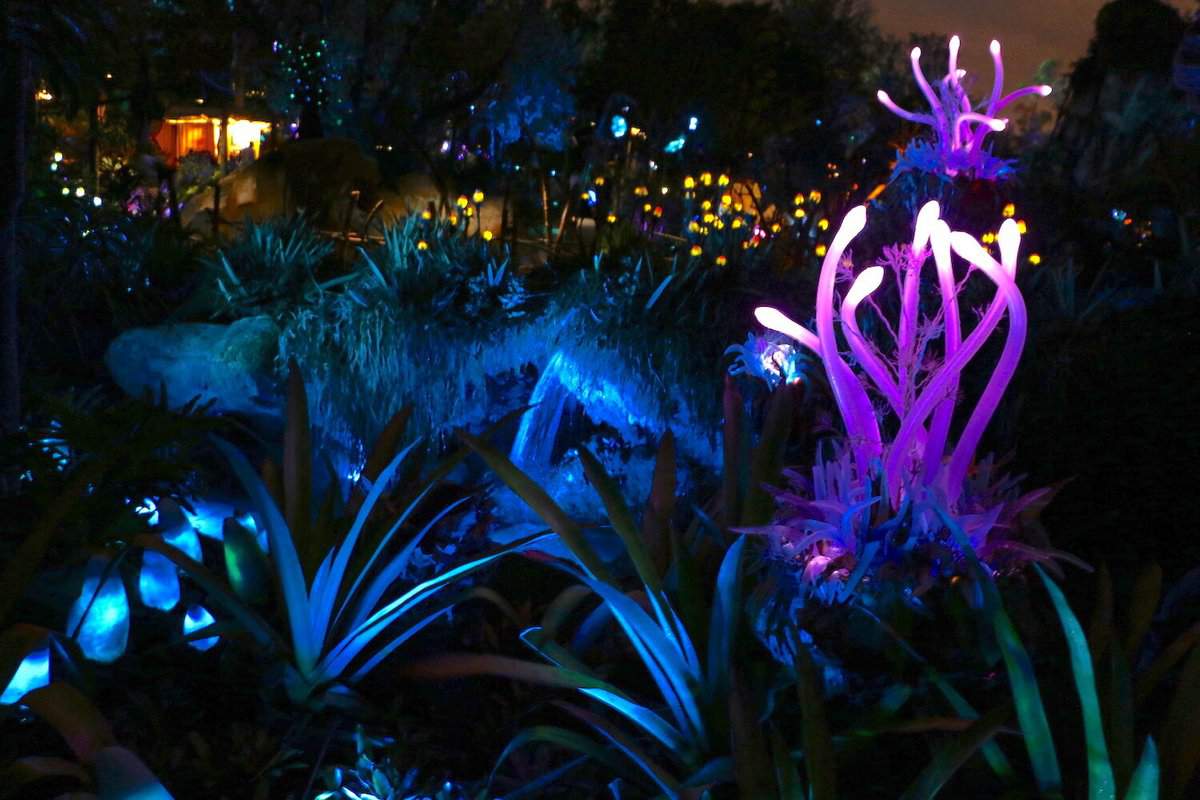 Nighttime in 'Pandora - The World of Avatar' glows brilliantly with ...
