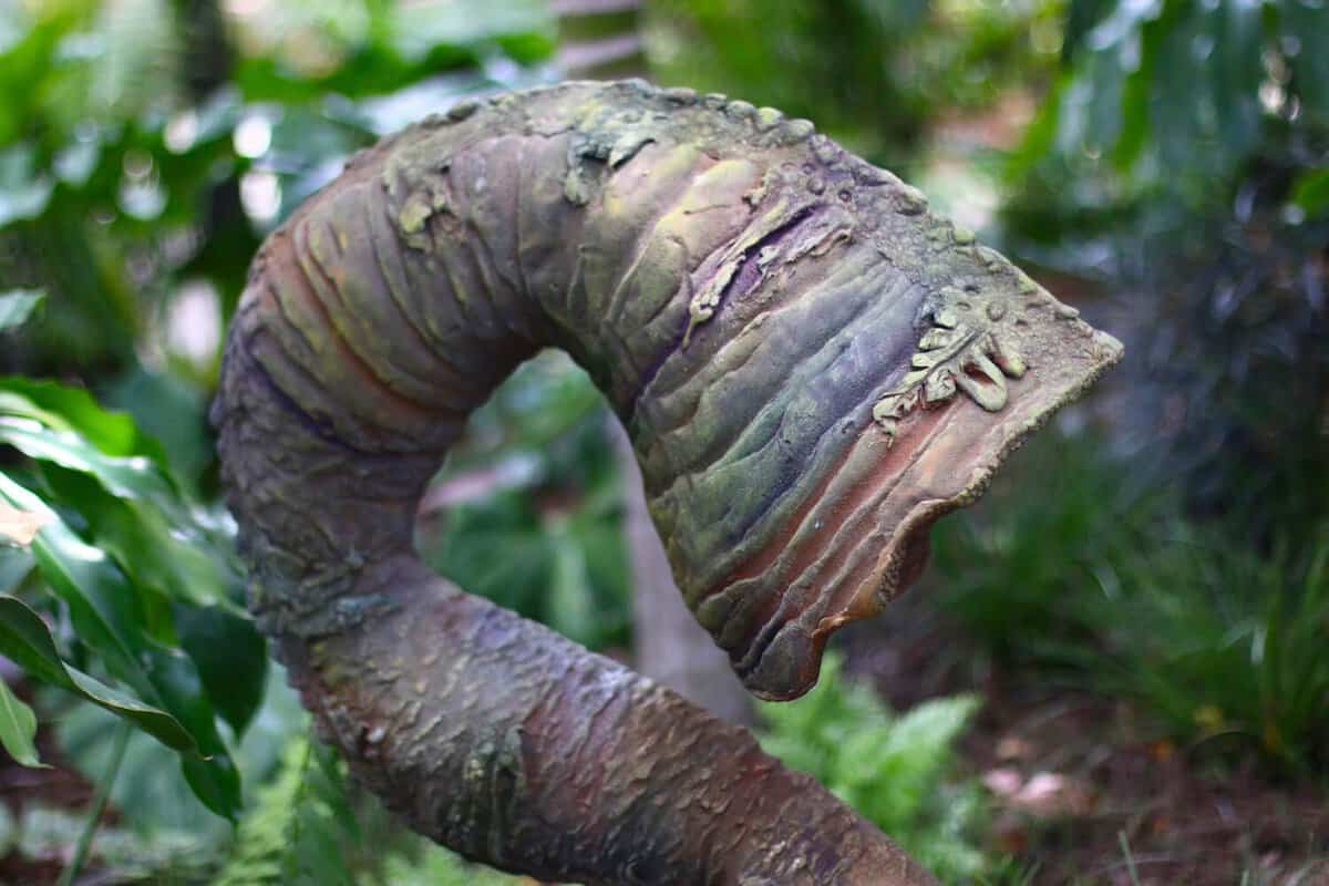 PHOTOS: The details of 'Pandora - The World of Avatar', Part 2 - Na'vi ...